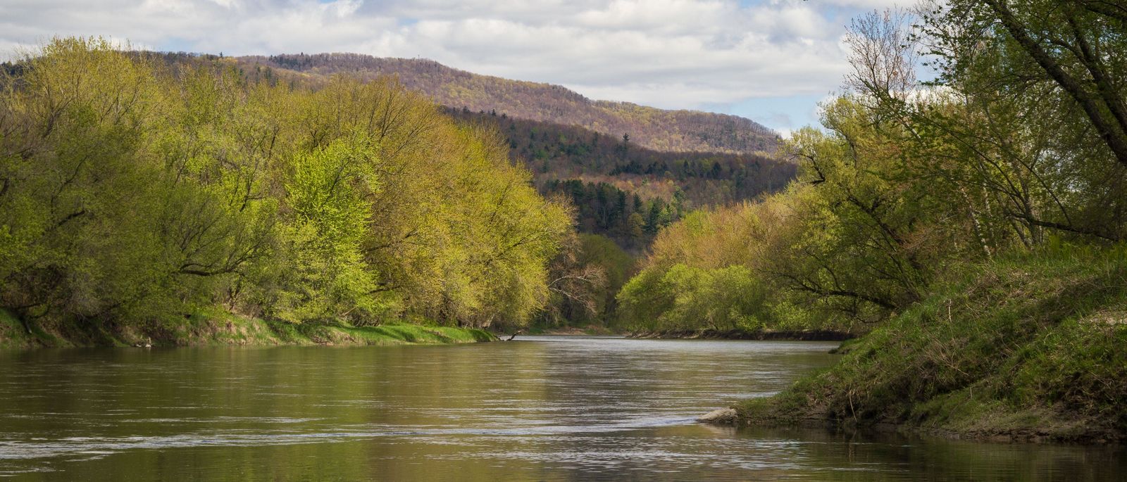 Home - Town of Richmond, VT